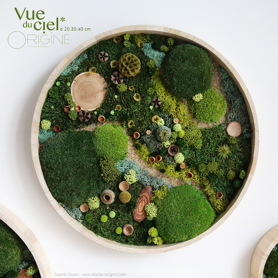 Tableau végétalisé. Vue du ciel. 100% végétale écoresponsable.